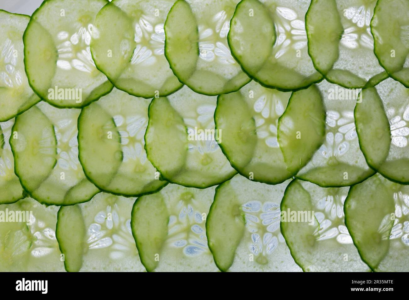 Translucent cucumber hi-res stock photography and images - Alamy