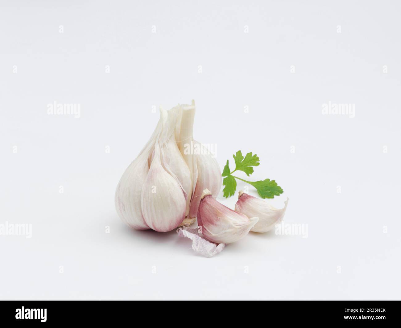 Garlic bulb with garlic cloves Stock Photo - Alamy