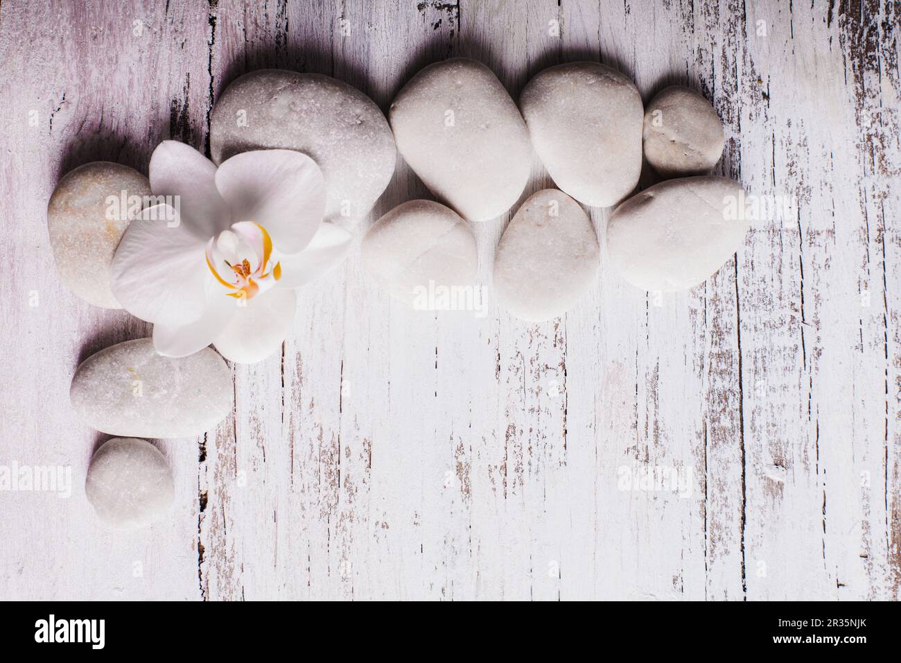 Orchid spa concept Stock Photo - Alamy