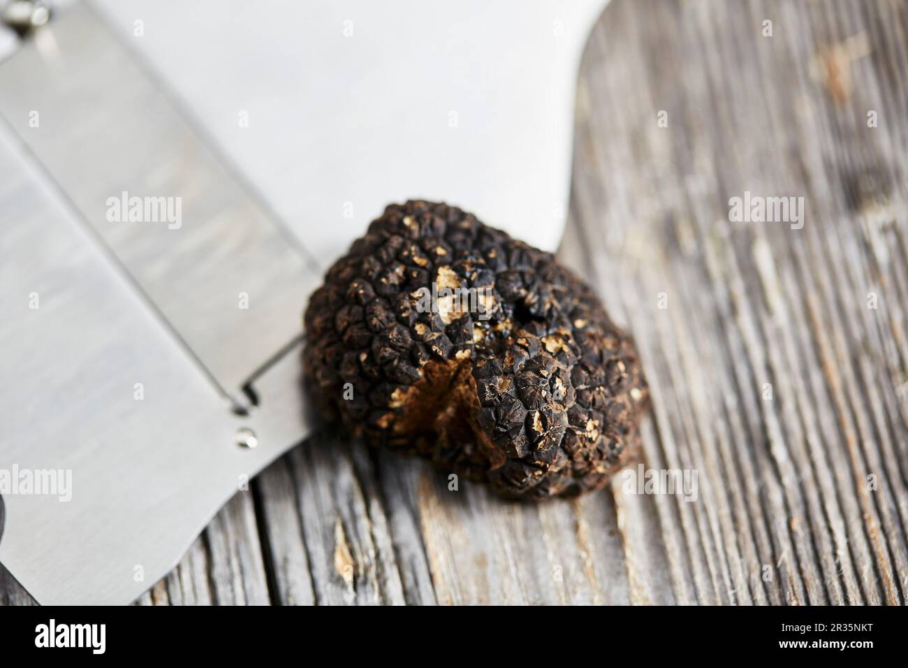 Truffle plane hi-res stock photography and images - Alamy