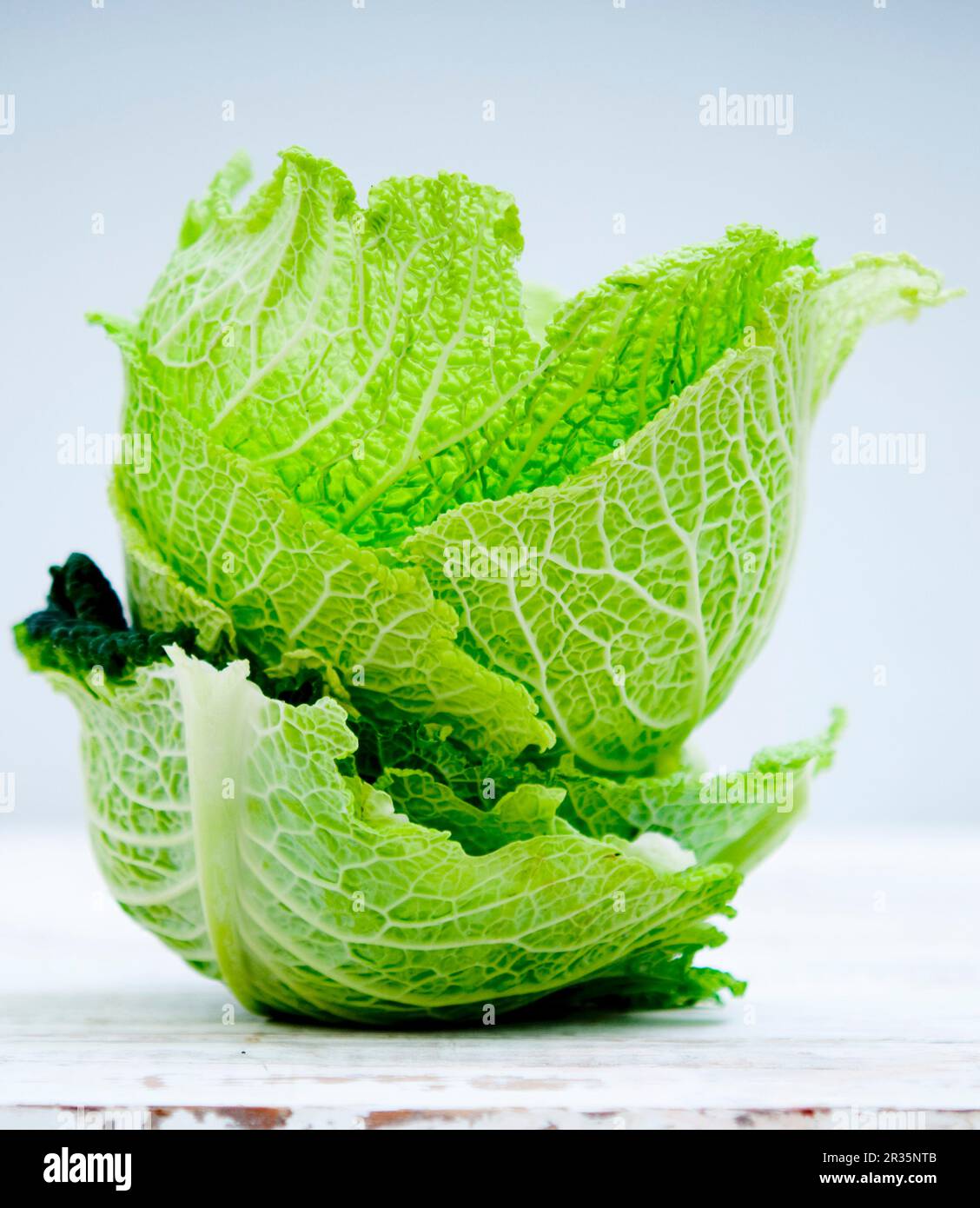 A stack of savoy cabbage leaves Stock Photo - Alamy