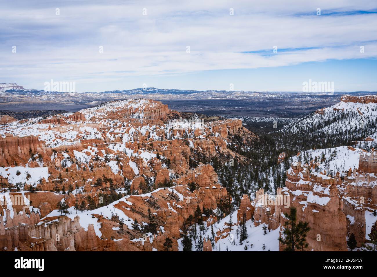 Douglas fir staircase hi-res stock photography and images - Alamy