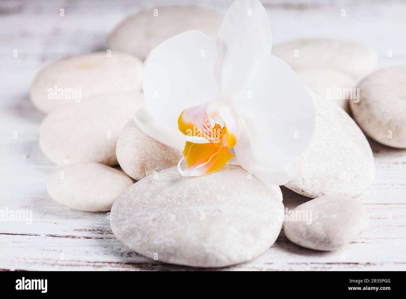 Orchid spa concept Stock Photo - Alamy