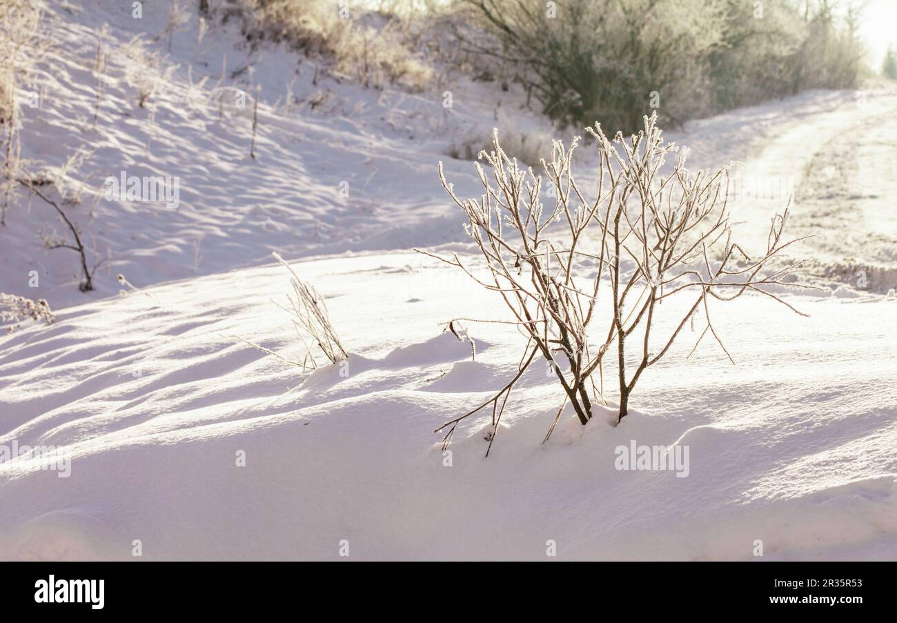 Wonderful winter view hi-res stock photography and images - Alamy