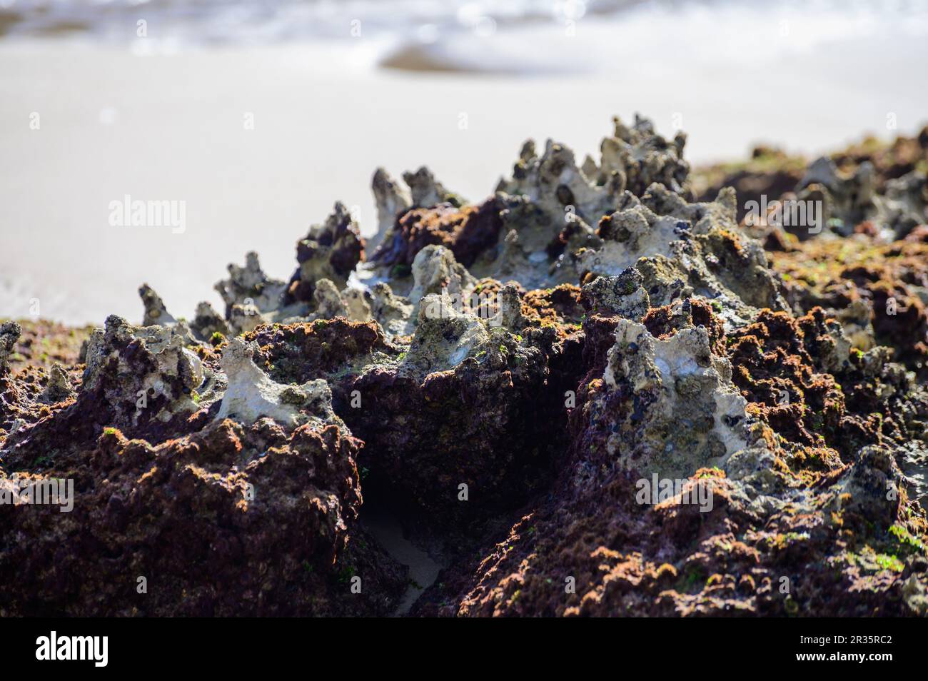 View on Playa de Palombina Las Camaras in Celorio village, Green coast ...