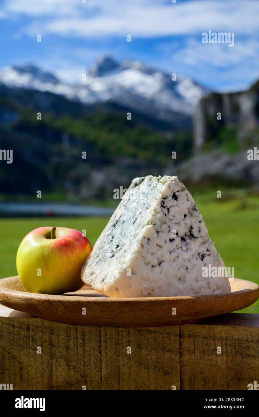 Cabrales, artisan blue cheese made by rural dairy farmers in Asturias ...