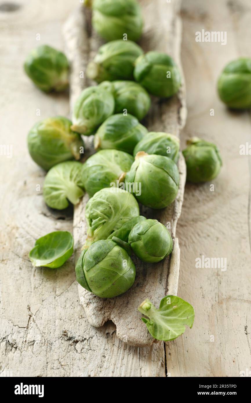 Sprouts on stalk hi-res stock photography and images - Alamy