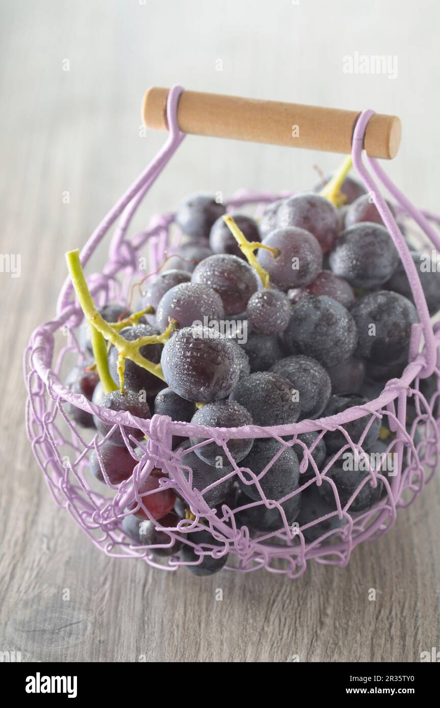 Red grapes water drops studio hi-res stock photography and images - Alamy