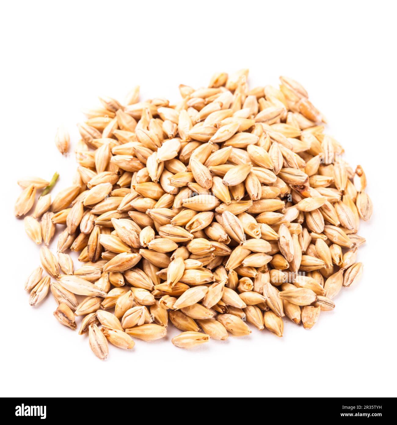 Wheat grain isolated Stock Photo - Alamy