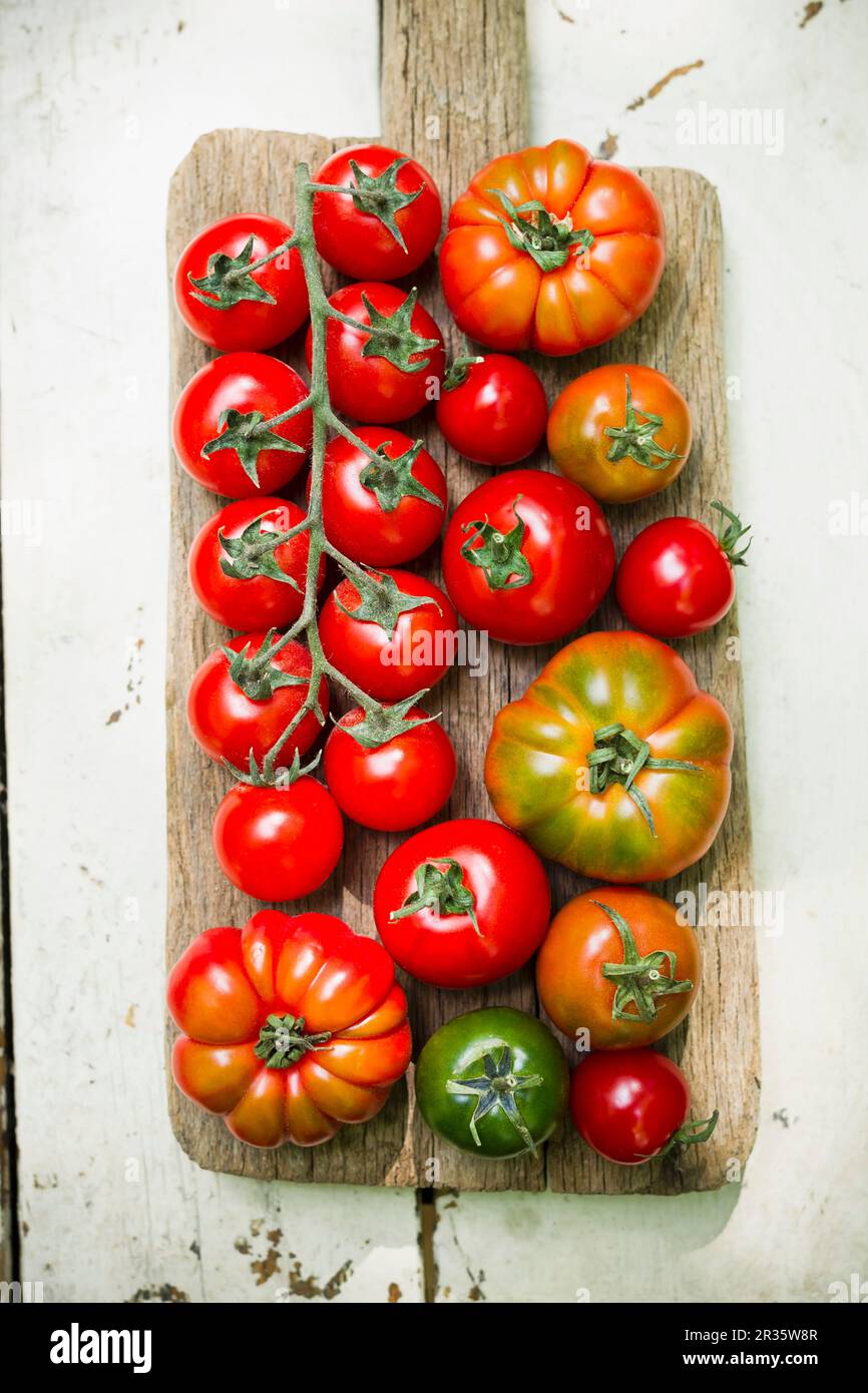 Tomato varieties on vine hi-res stock photography and images - Alamy