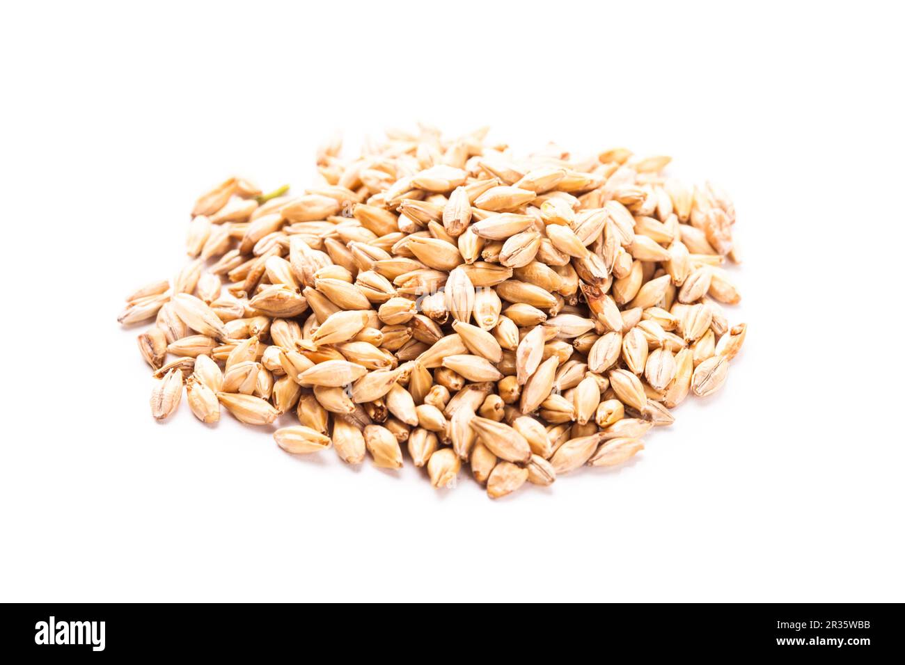 Wheat grain isolated Stock Photo - Alamy