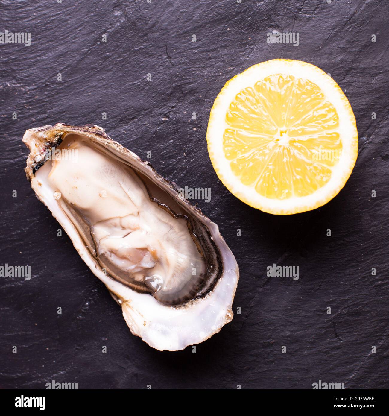 Close up of oyster nobody hi-res stock photography and images - Alamy