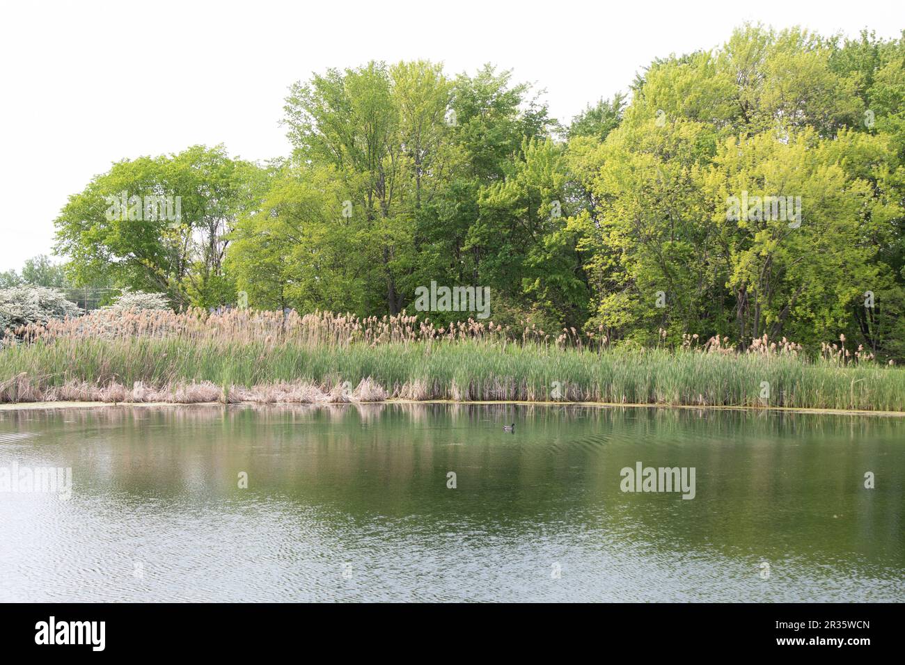 Ohio ecology hi-res stock photography and images - Alamy