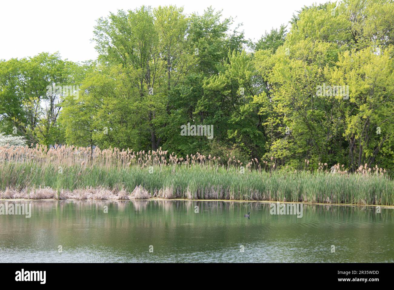 Ohio ecology hi-res stock photography and images - Alamy
