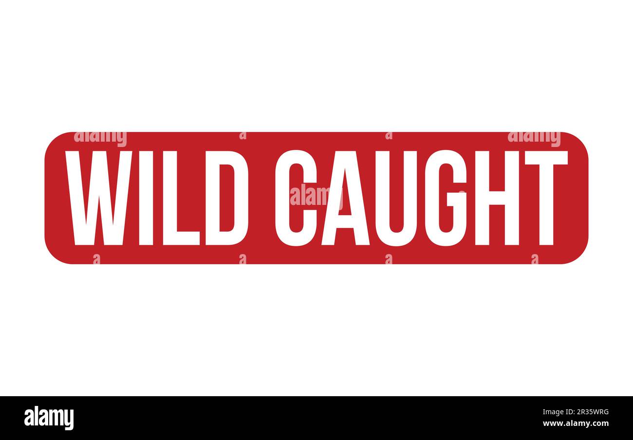 Wild Caught Rubber Stamp Seal Vector Stock Vector Image & Art - Alamy
