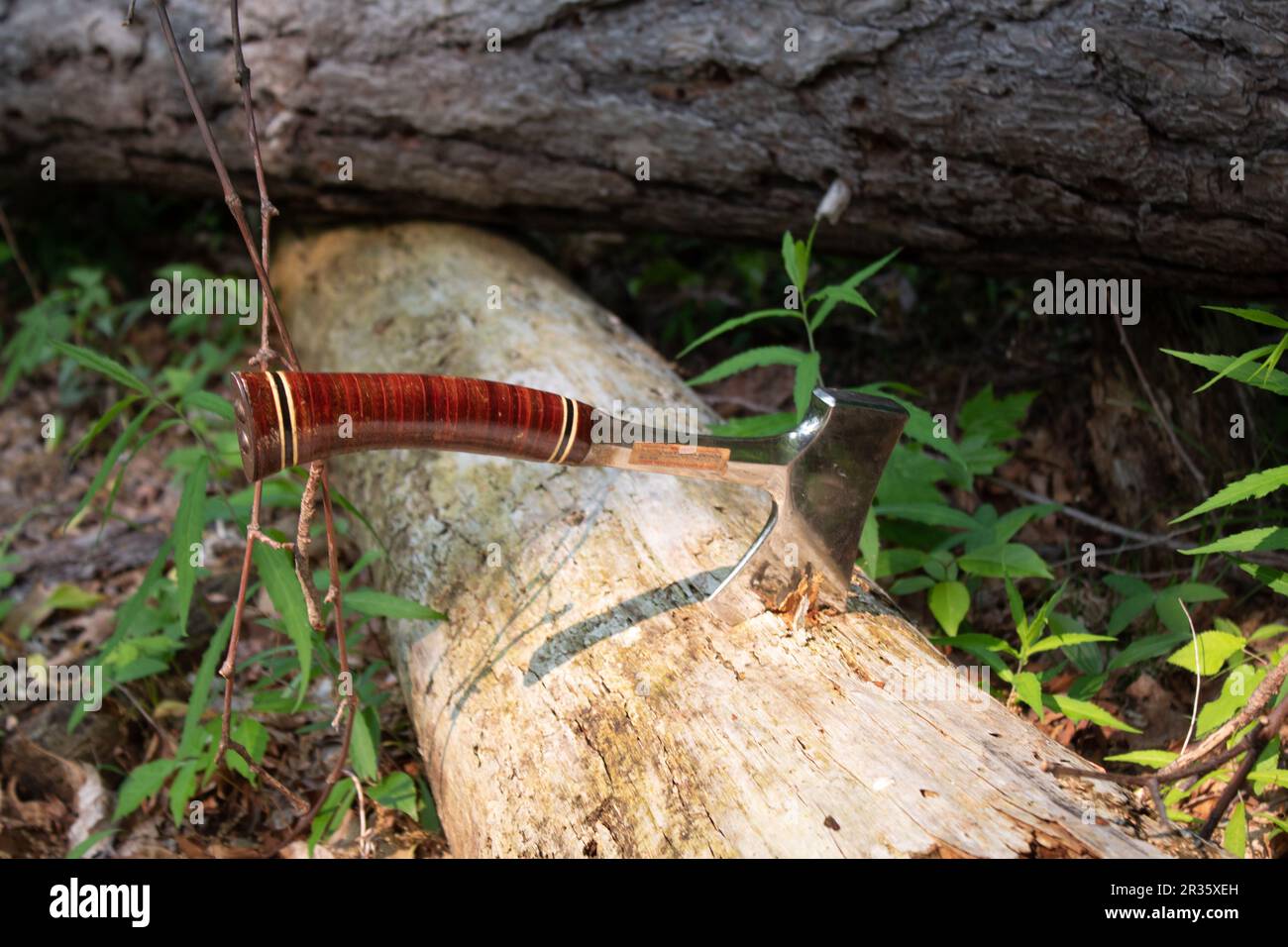 Hatchet in the Forest Stock Photo - Alamy