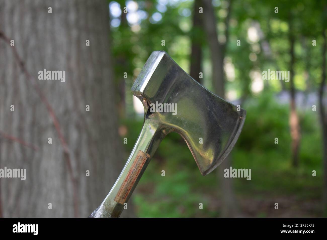 Hatchet in the Forest Stock Photo - Alamy