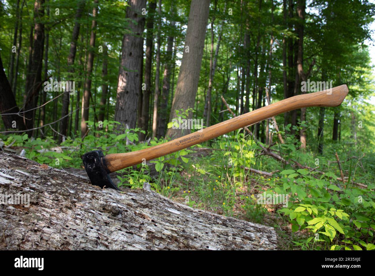 Forged axe hi-res stock photography and images - Alamy