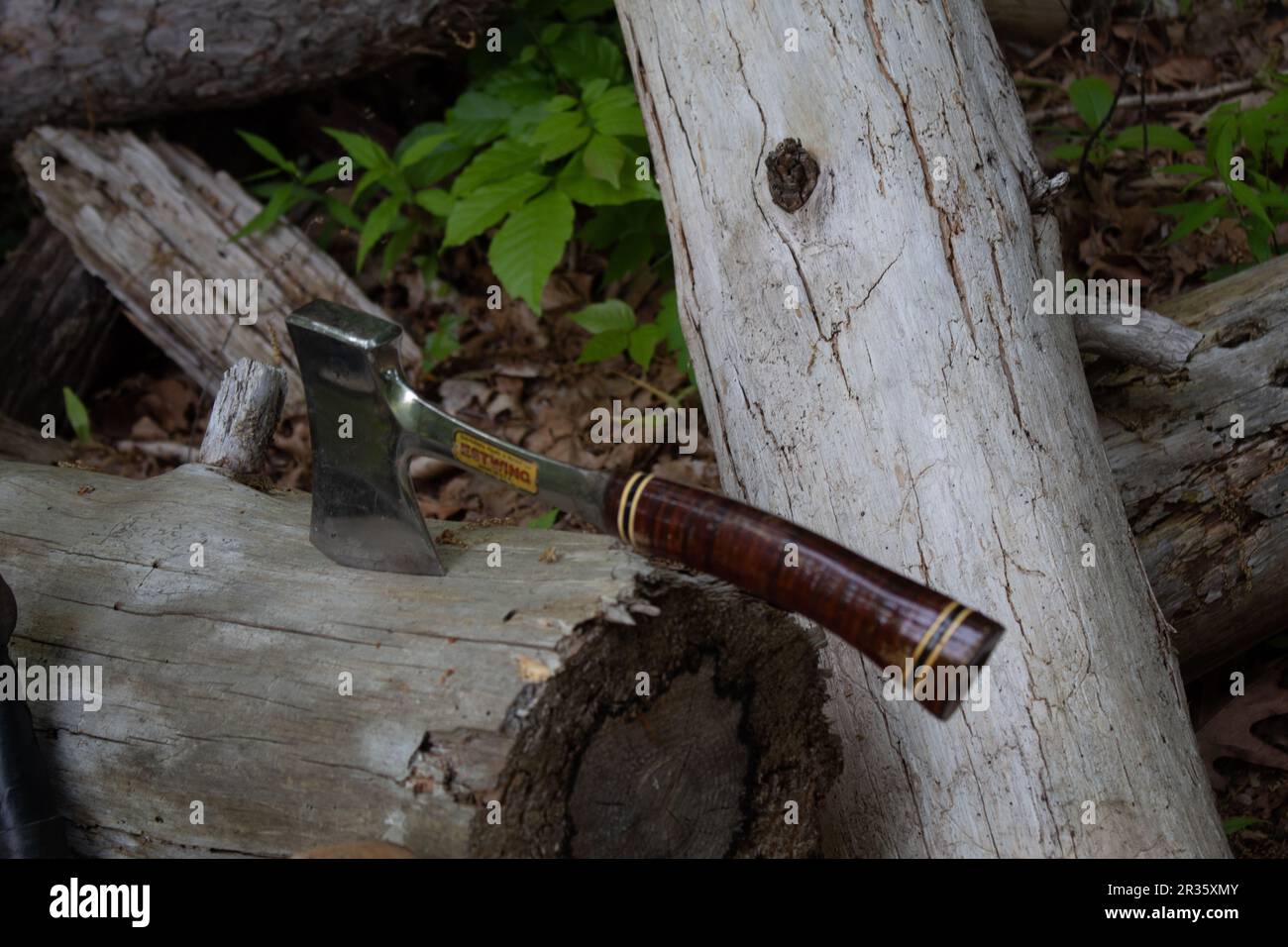Hatchet in the Forest Stock Photo - Alamy