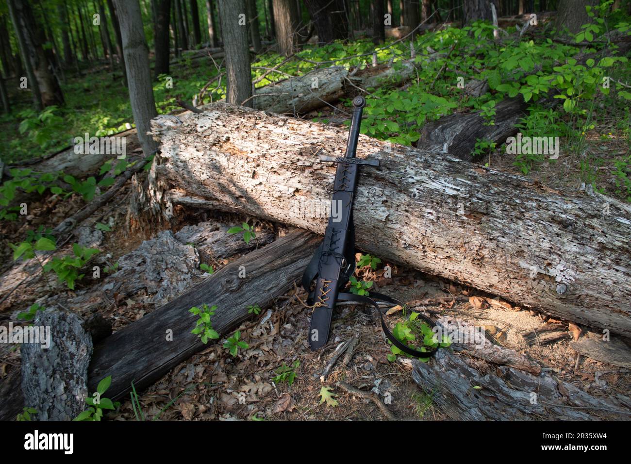 Sword in the Forest Stock Photo - Alamy