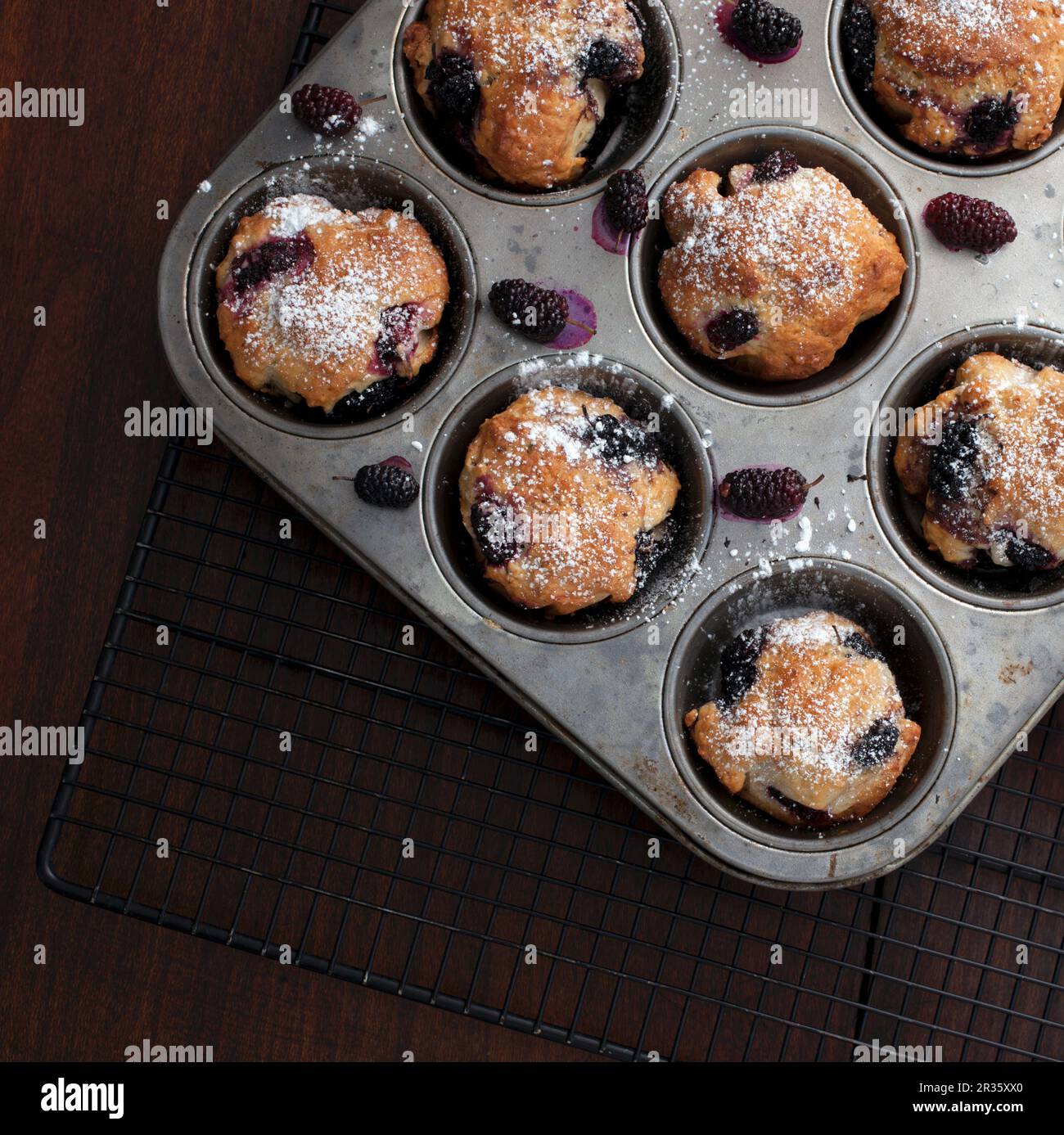 Overhead shot baked muffins hi-res stock photography and images - Alamy