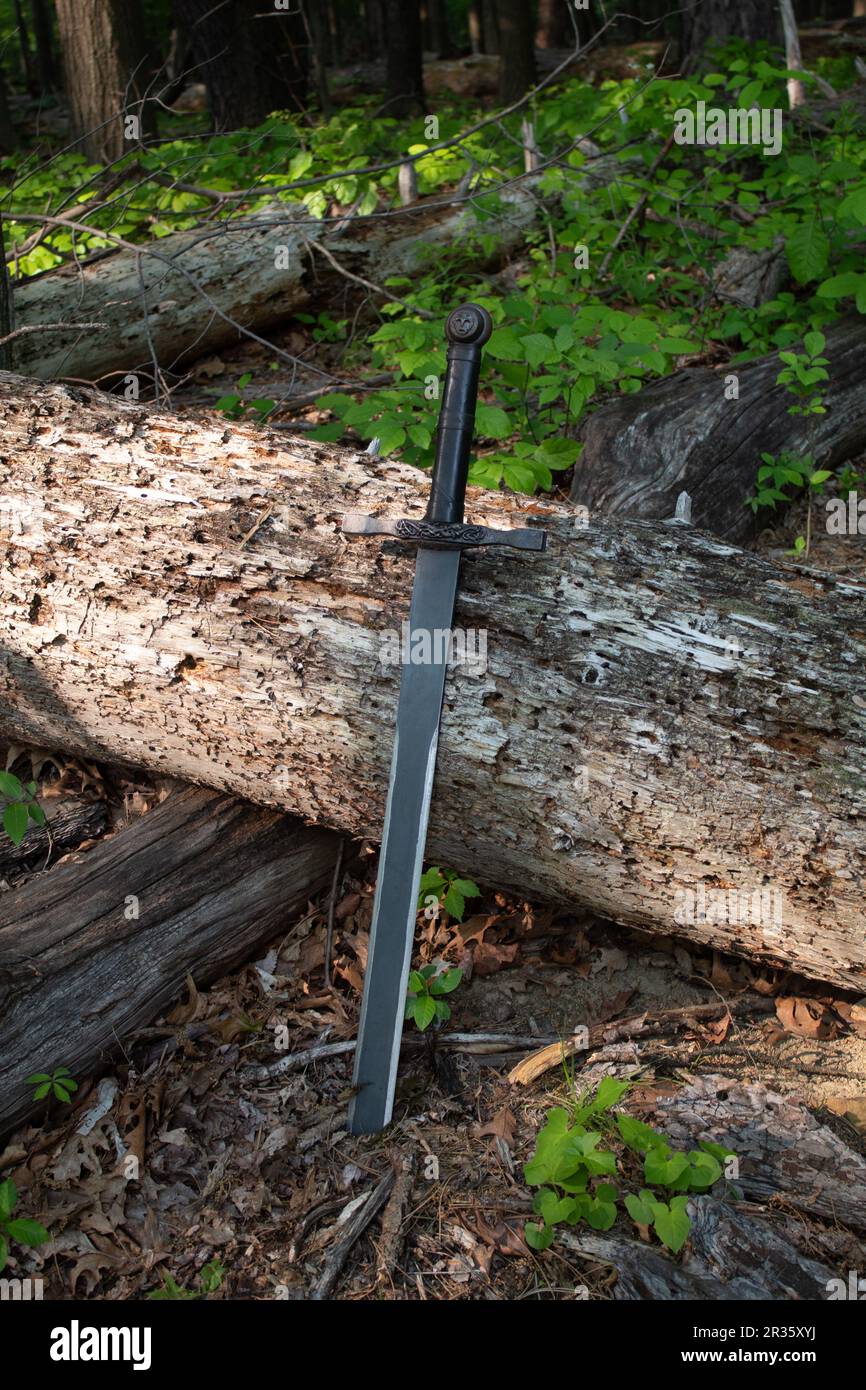 Sword in the Forest Stock Photo - Alamy
