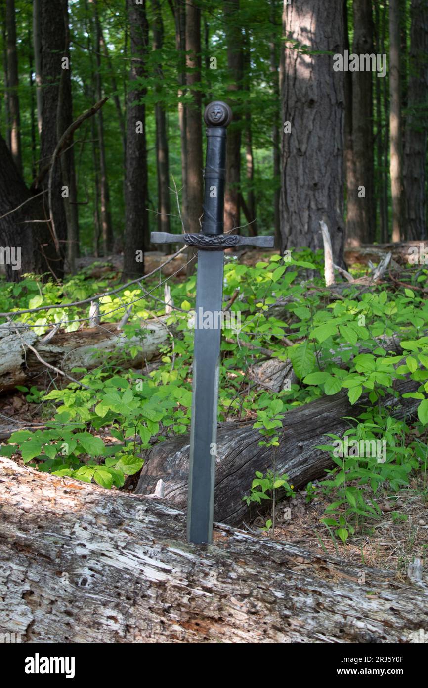 Sword in the Forest Stock Photo - Alamy