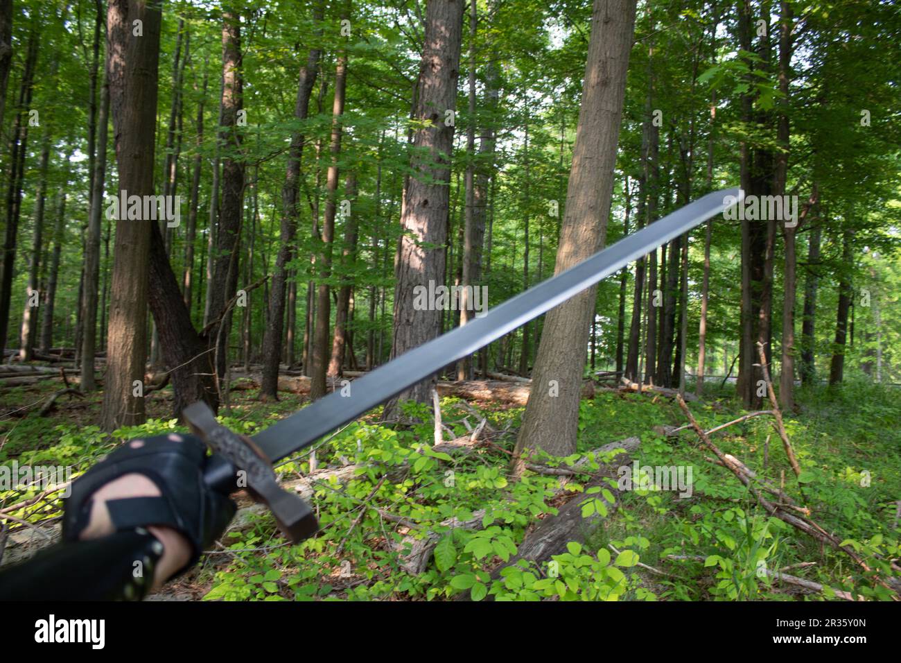 Sword in the Forest Stock Photo - Alamy