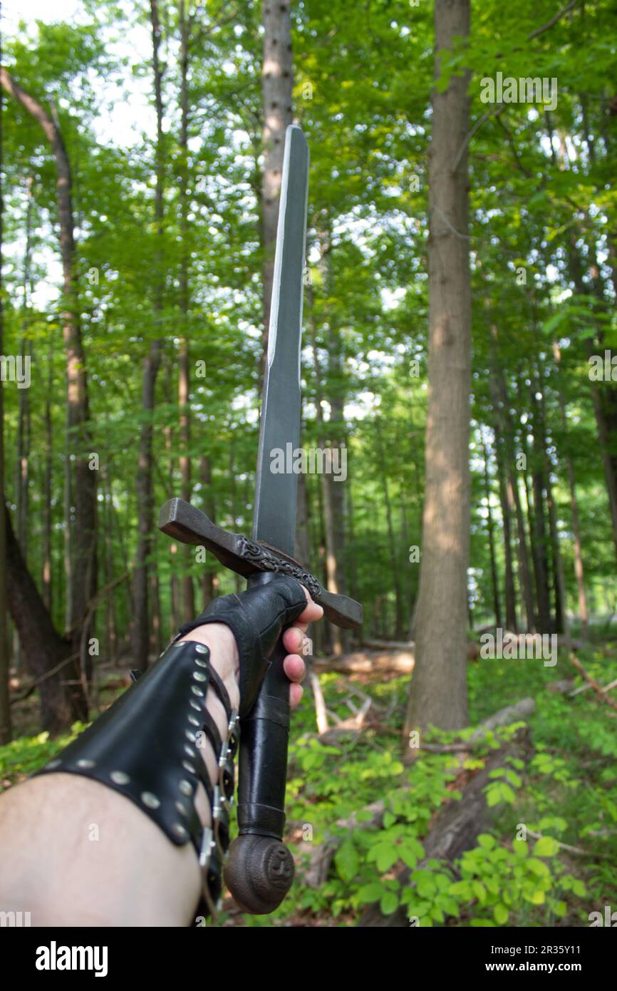 Sword in the Forest Stock Photo - Alamy