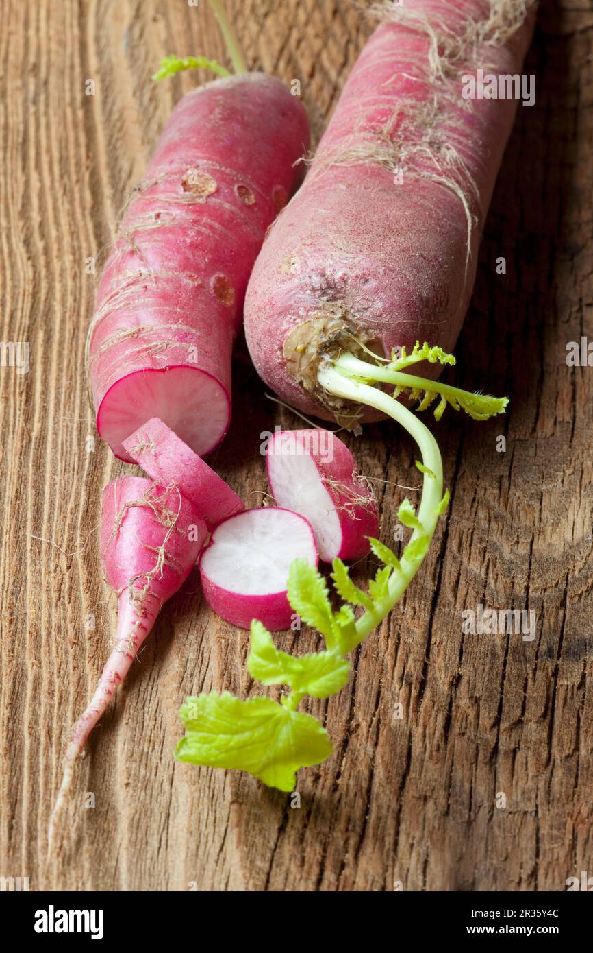 Radishes cut out hi-res stock photography and images - Alamy