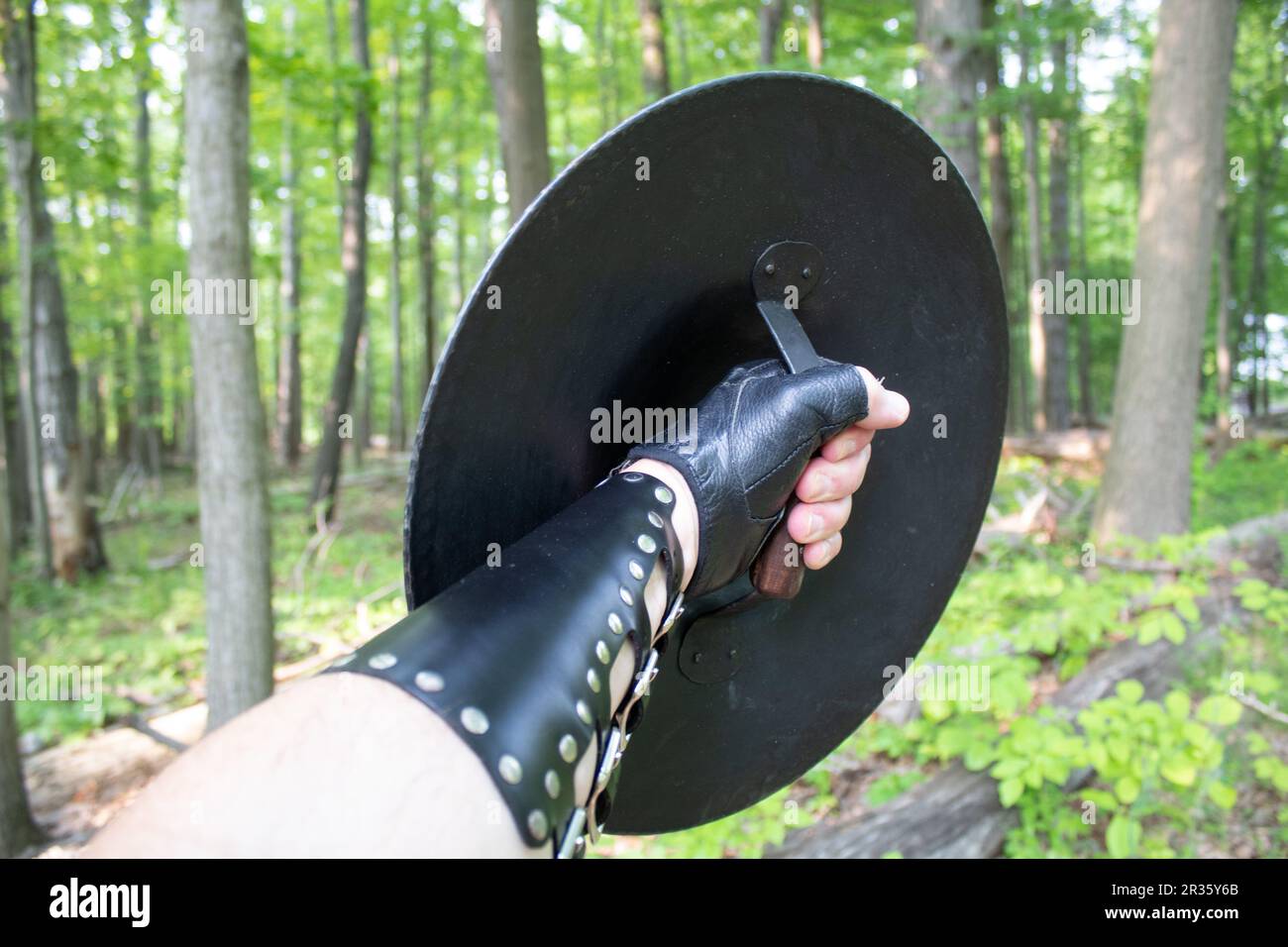 Shield in the Forest Stock Photo - Alamy