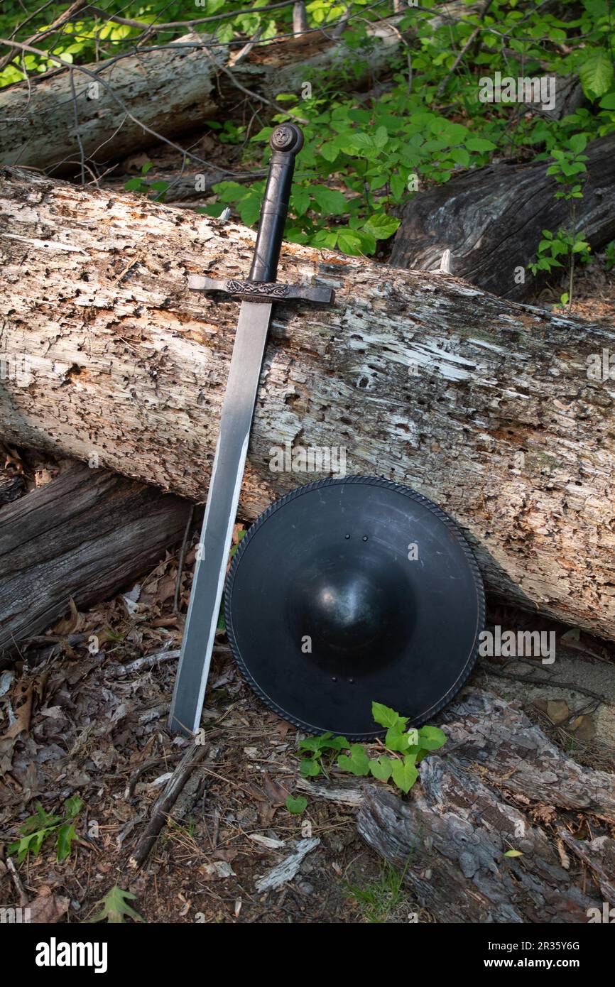 Sword in the Forest Stock Photo - Alamy