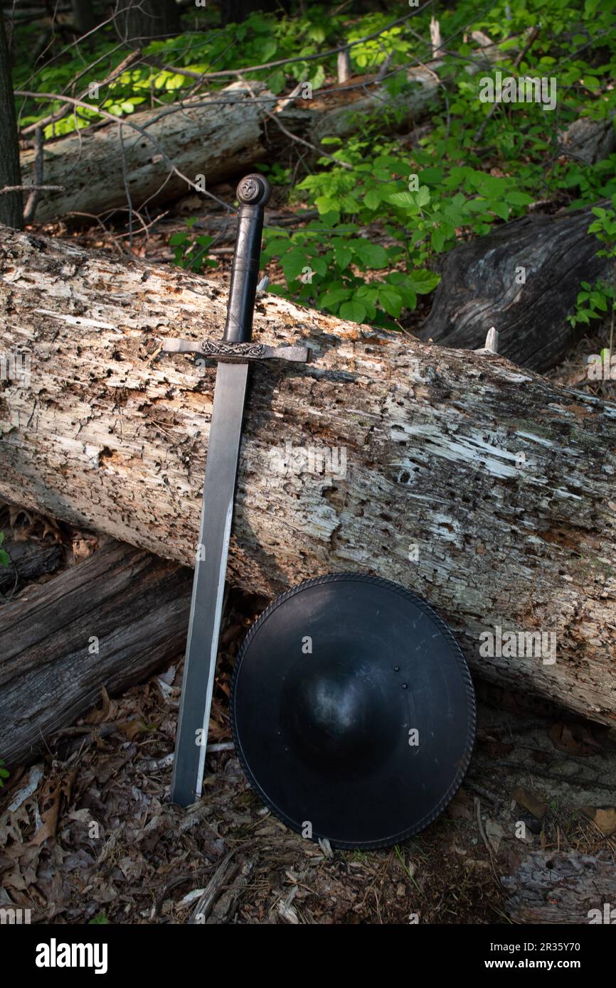 Sword in the Forest Stock Photo - Alamy
