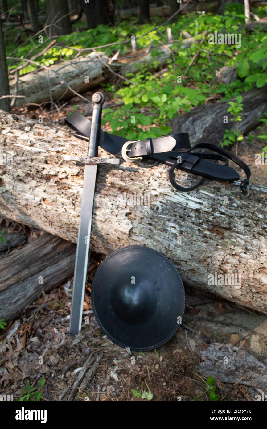 Sword in the Forest Stock Photo - Alamy