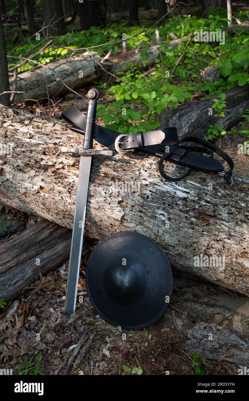 Sword in the Forest Stock Photo - Alamy