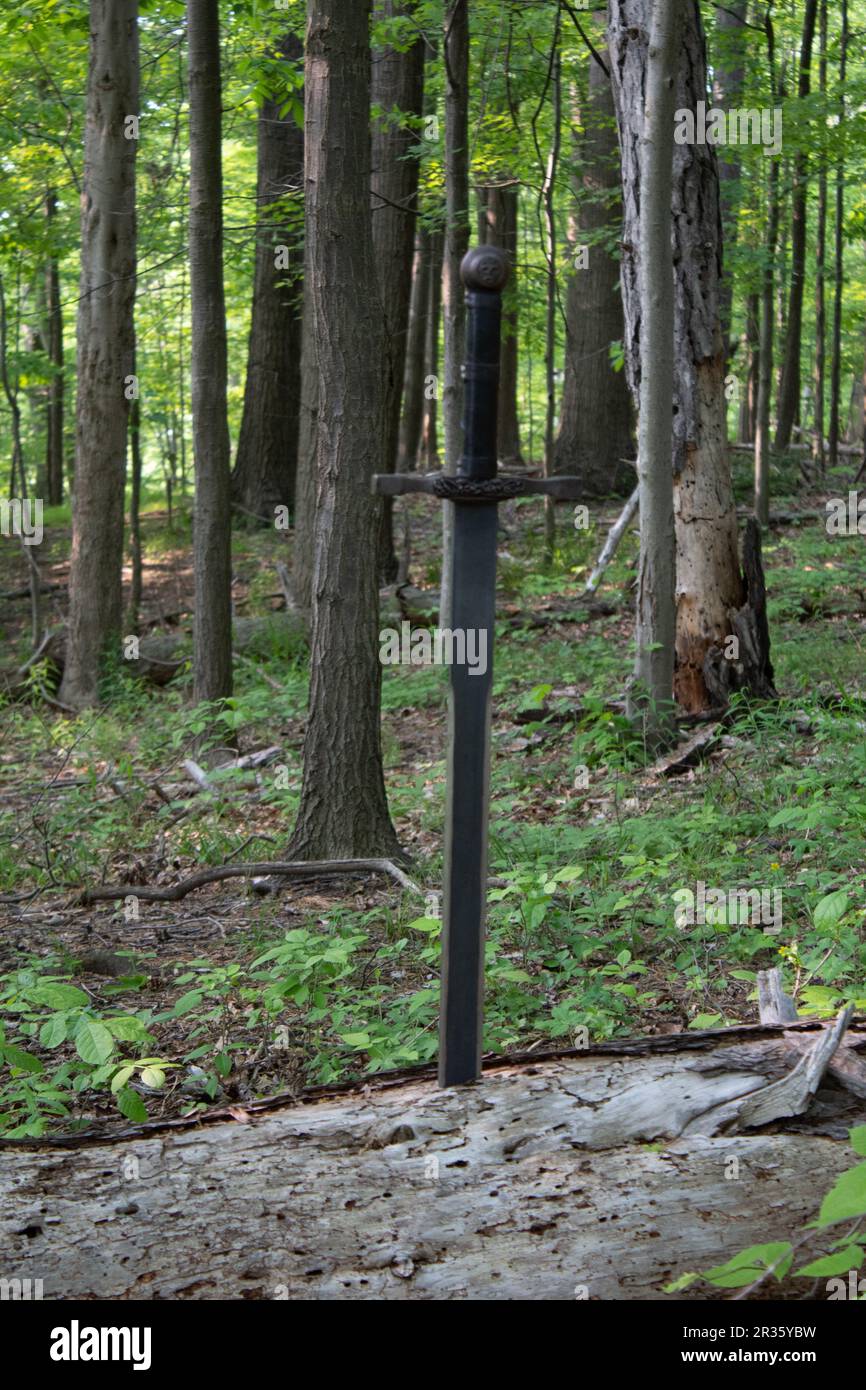 Sword in the Forest Stock Photo - Alamy