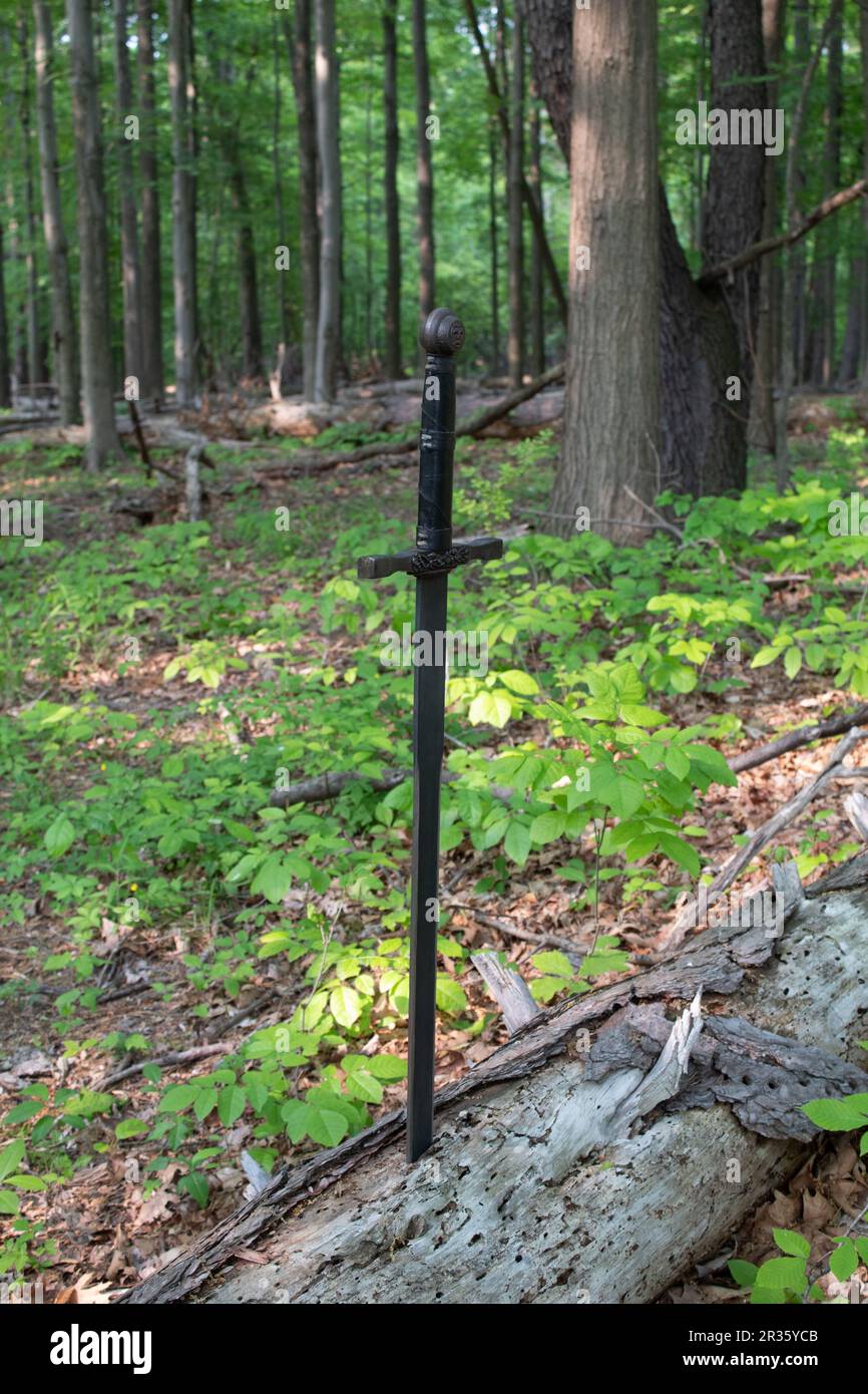 Sword in the Forest Stock Photo - Alamy