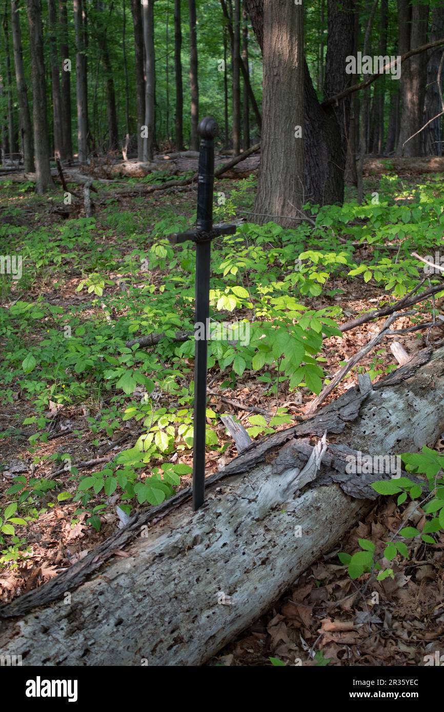 Sword in the Forest Stock Photo - Alamy