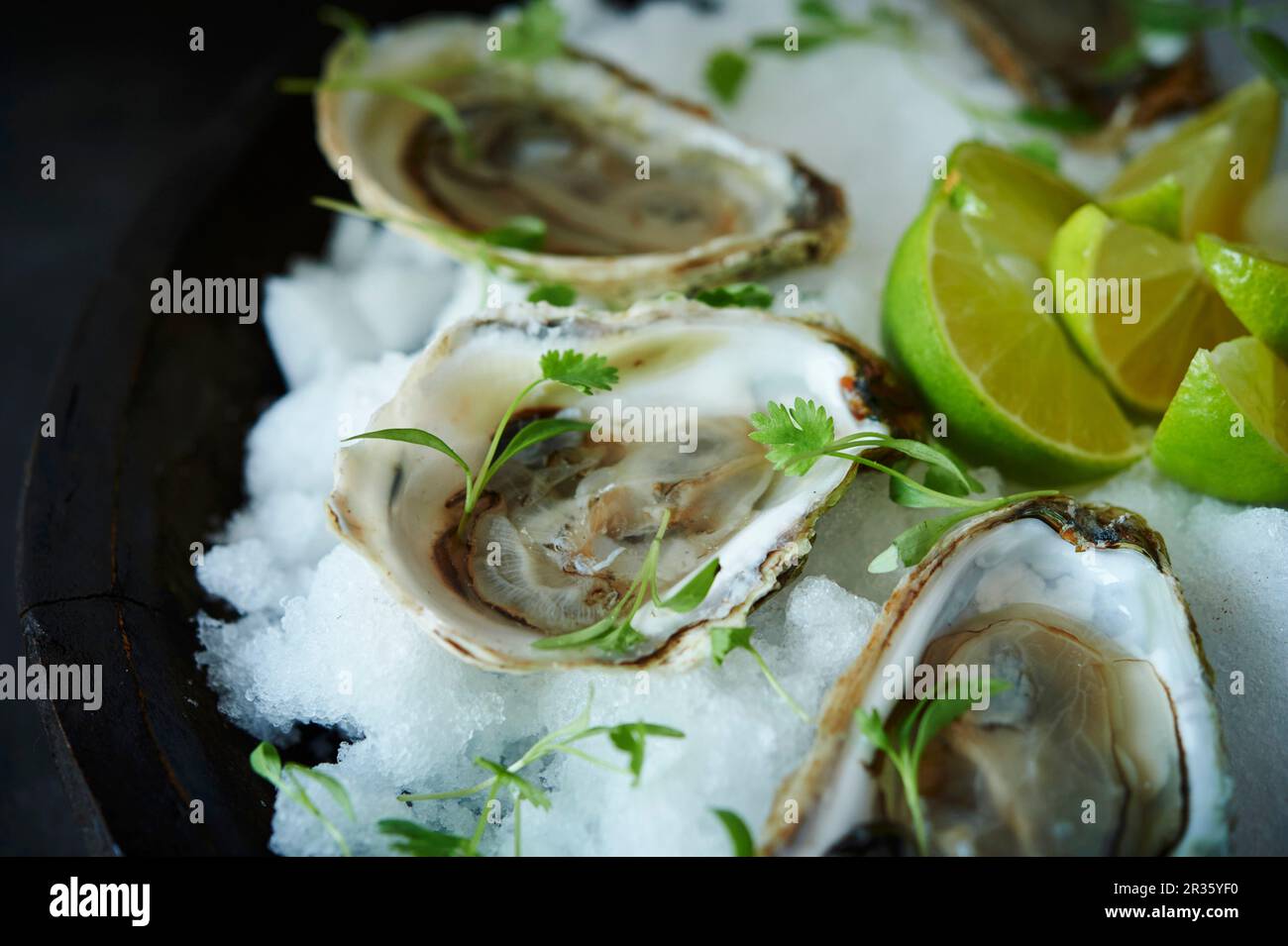 Half shells hi-res stock photography and images - Alamy