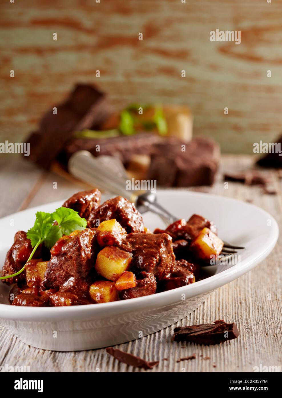 Carne de res en adobo (beef ragout with chocolate, Mexico Stock Photo ...