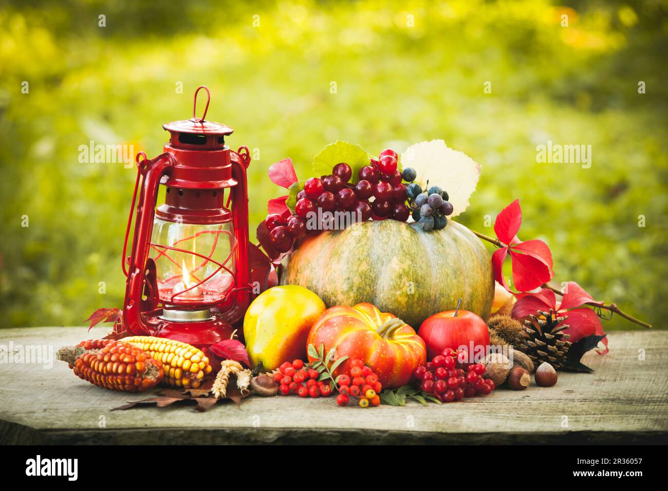 Still life leaves hi-res stock photography and images - Alamy