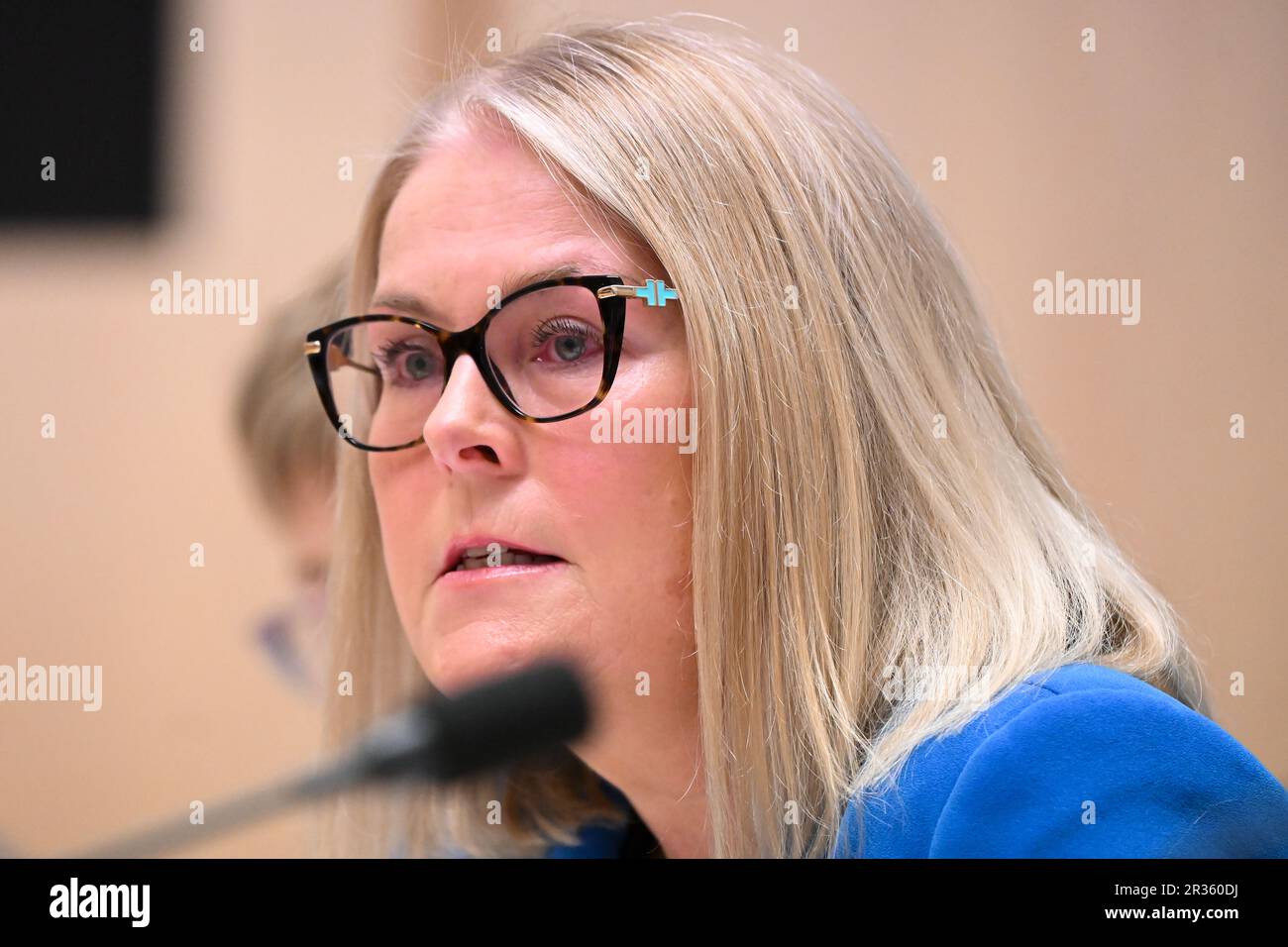 Department of Finance Deputy Secretary Mary Wiley-Smith speaks during ...
