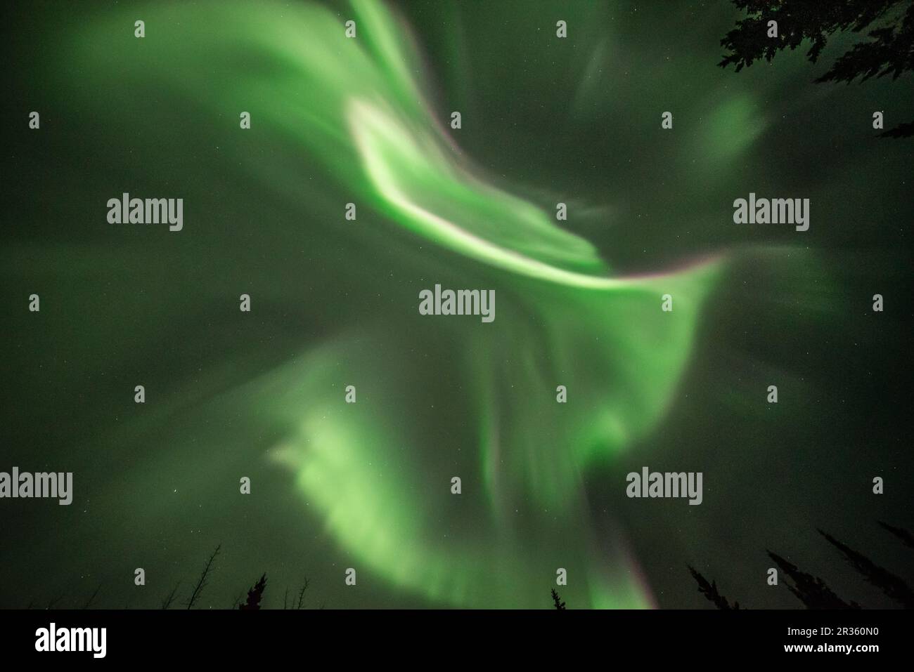 Northern lights display seen in northern Canada, Yukon Territory ...