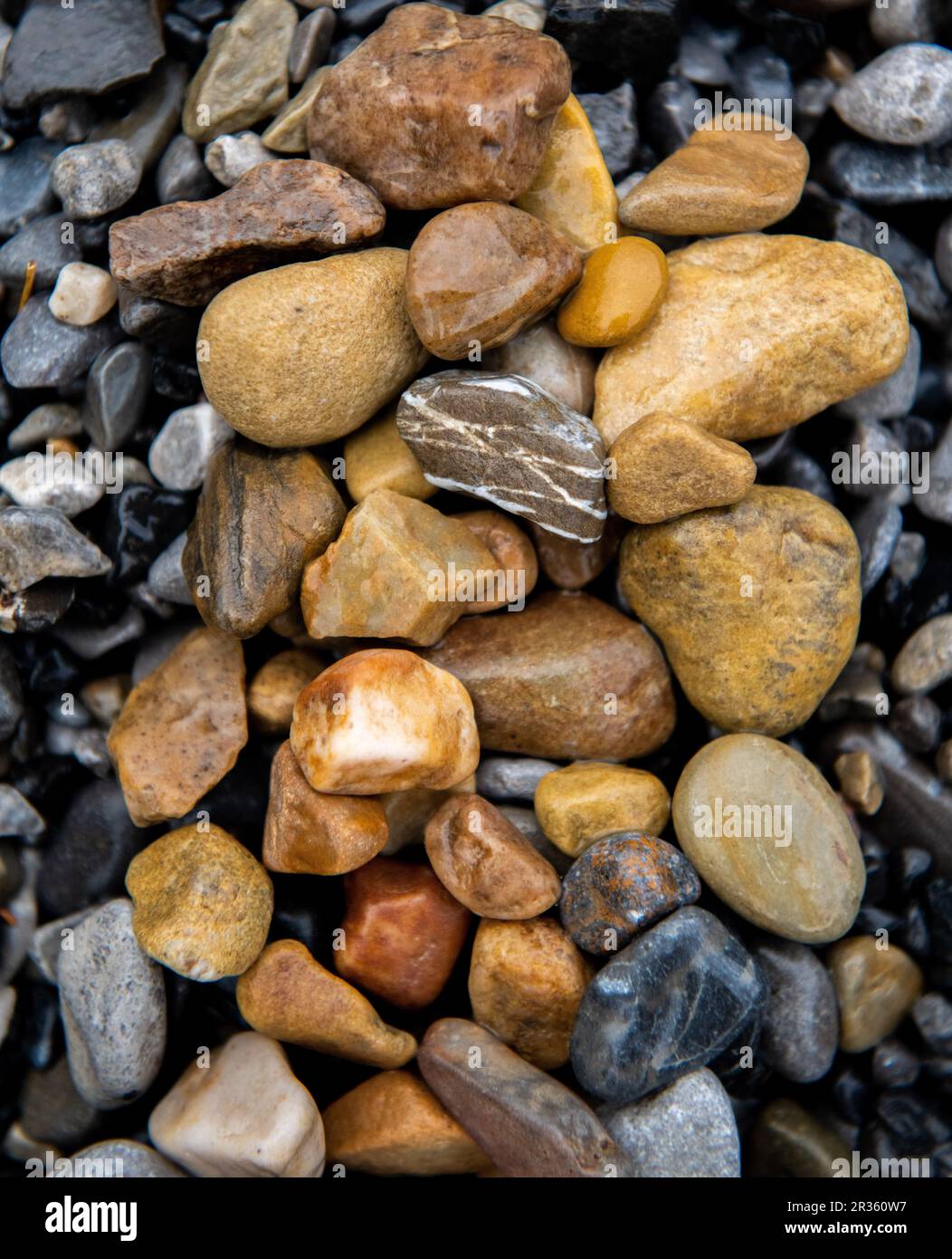 Wet rocks in Banff with beautiful vibrant colors and patterns Stock ...