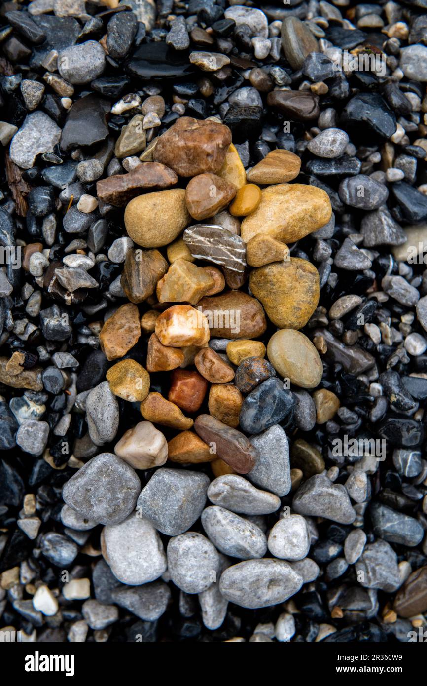 Wet rocks in Banff with beautiful vibrant colors and patterns Stock ...