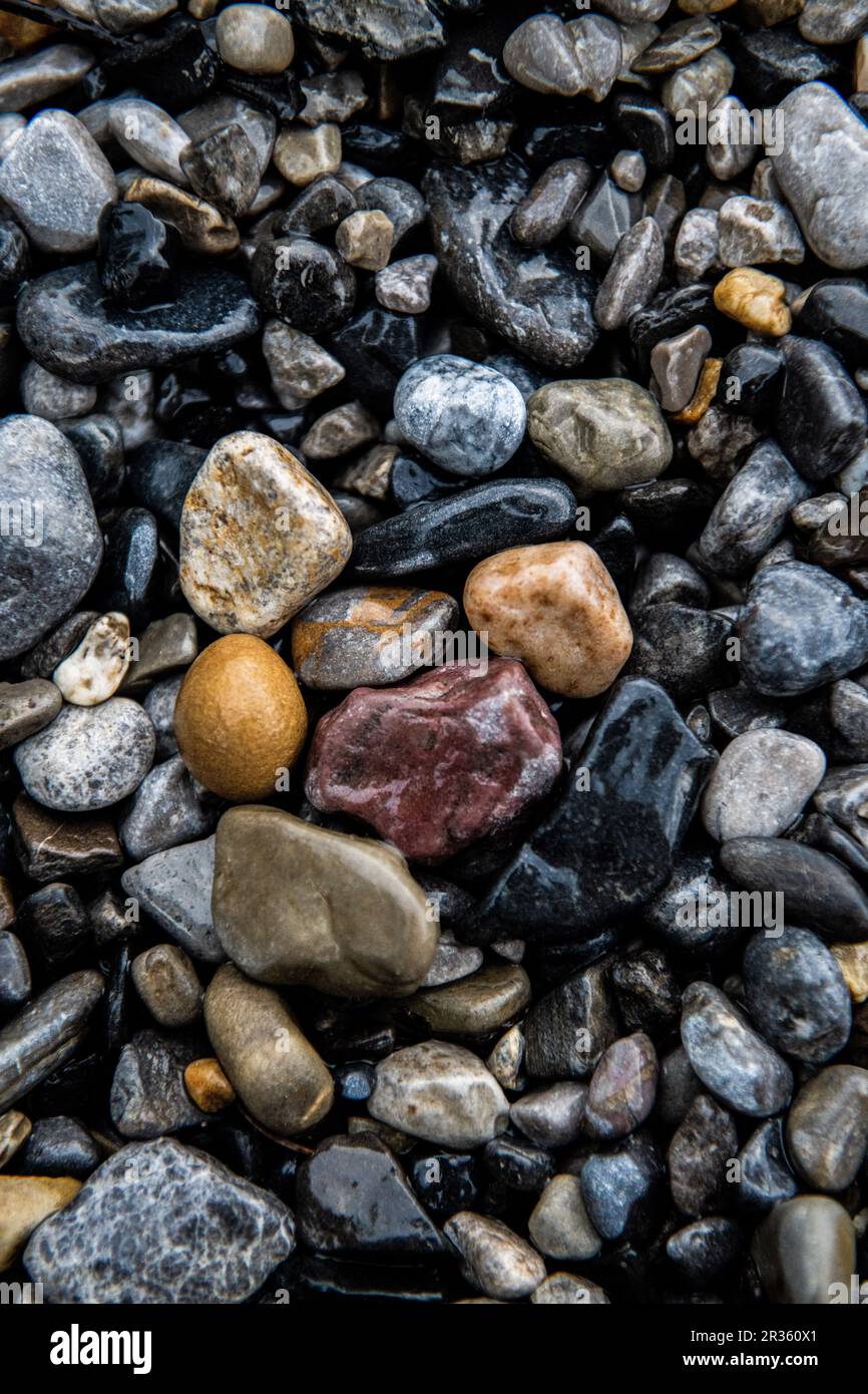 Wet rocks in Banff with beautiful vibrant colors and patterns Stock ...