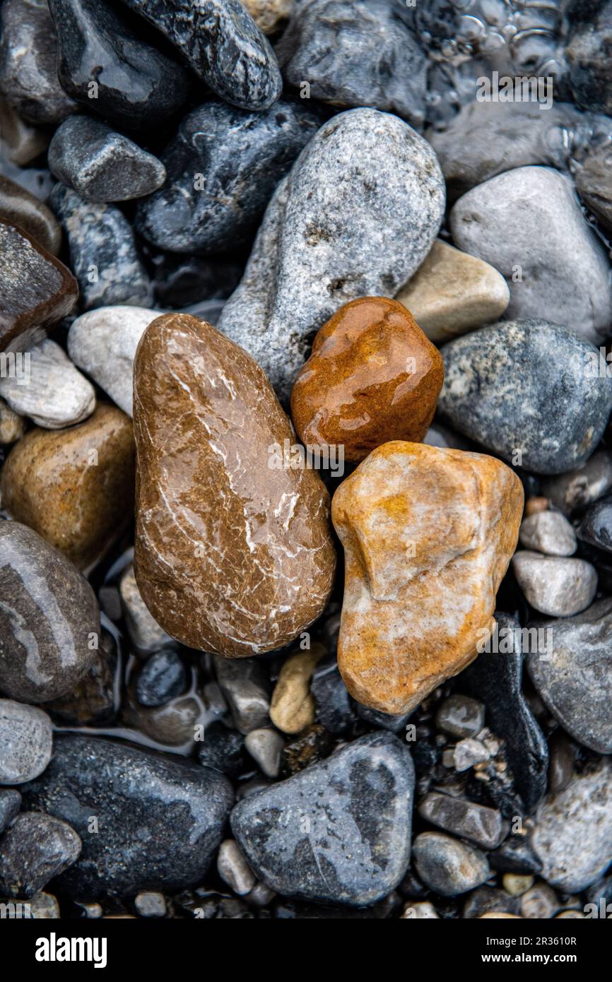Wet rocks in Banff with beautiful vibrant colors and patterns Stock ...