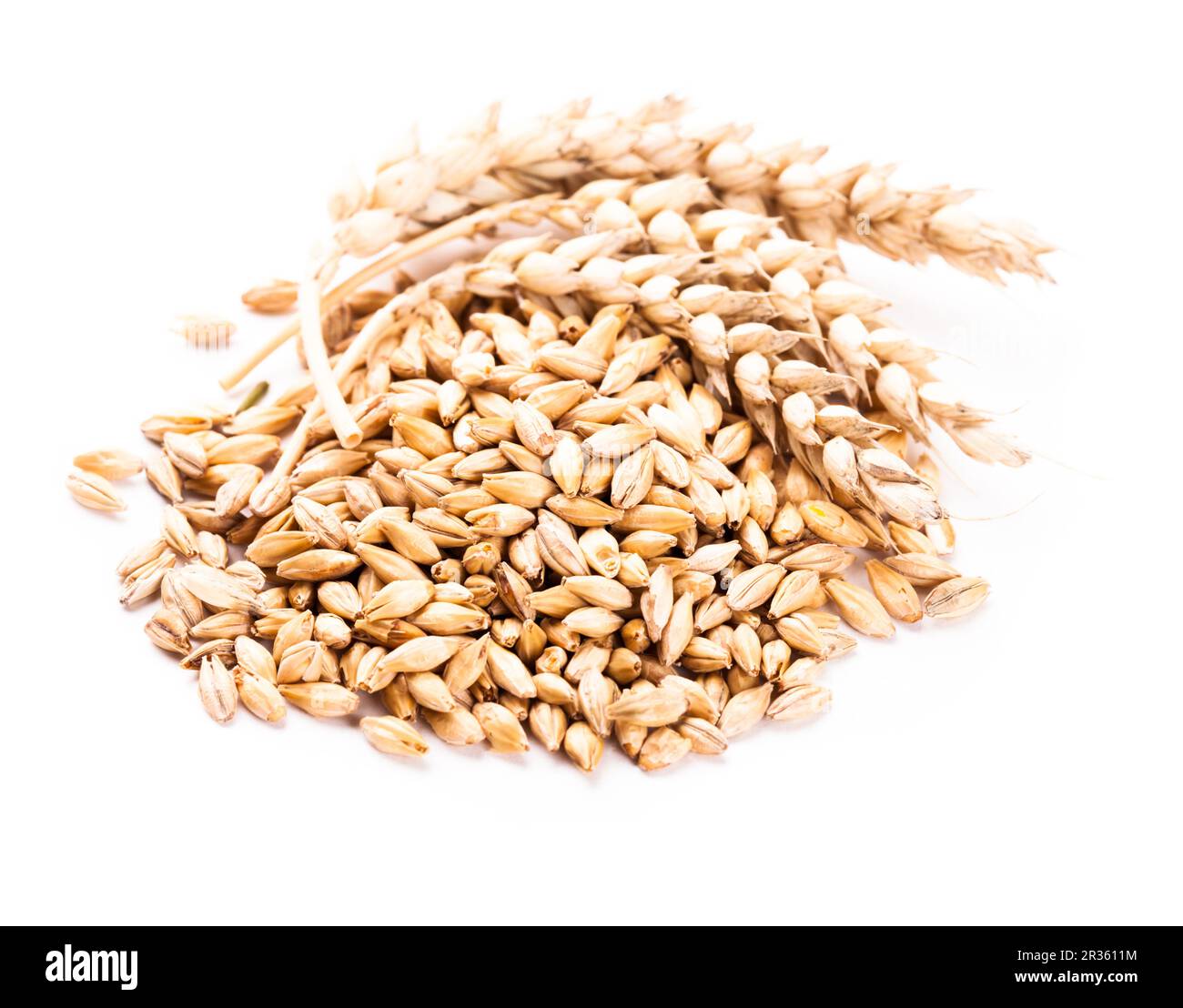 Wheat grain texture hi-res stock photography and images - Alamy