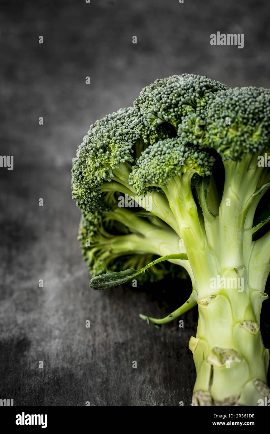 Broccoli on a grey surface Stock Photo - Alamy