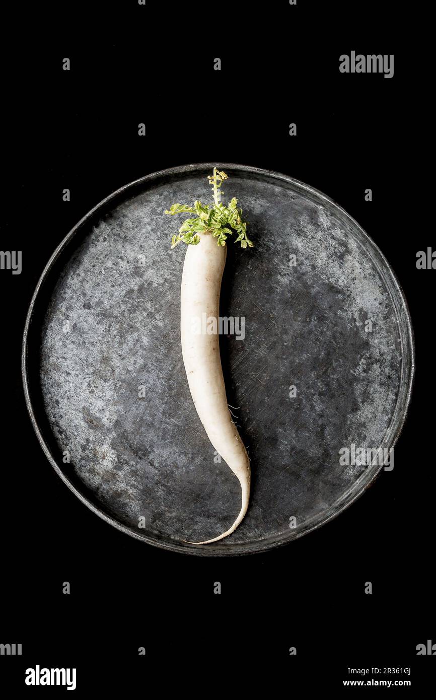 A white radish on an old metal tray Stock Photo - Alamy